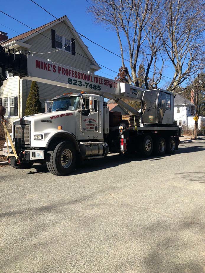 Welcome To Mikes Professional Tree Services! Local Rhode Island Service